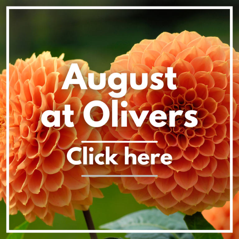 Olivers Nurseries - Garden Centre - Witham
