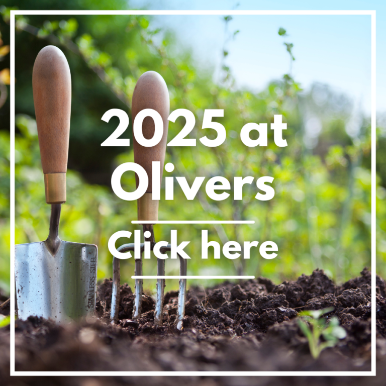 Olivers Nurseries - Garden Centre - Witham